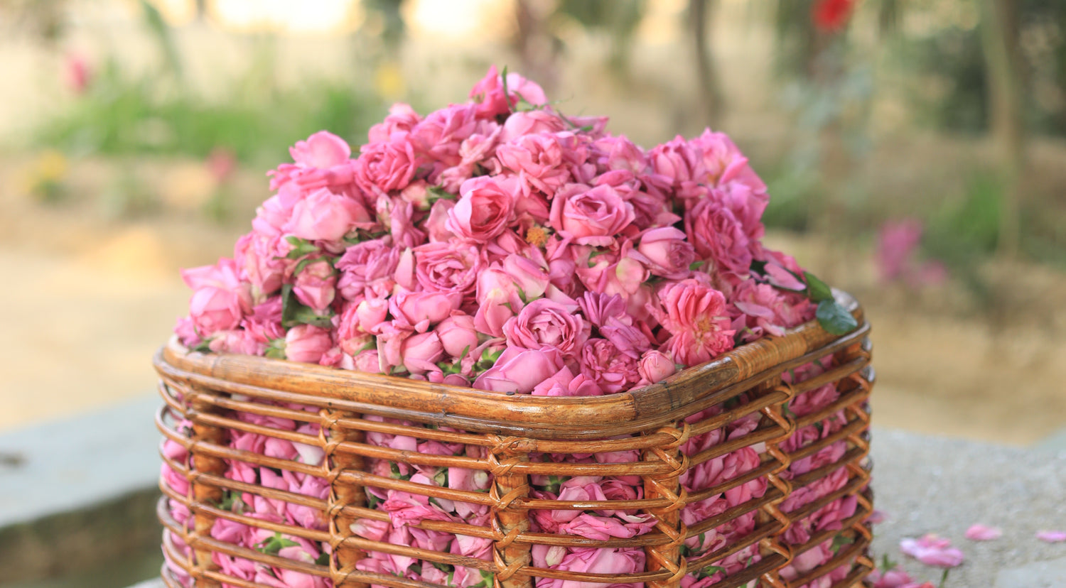 Mitti Attar | Authentic Indian Attar | Handcrafted in Kannauj – Raahi ...