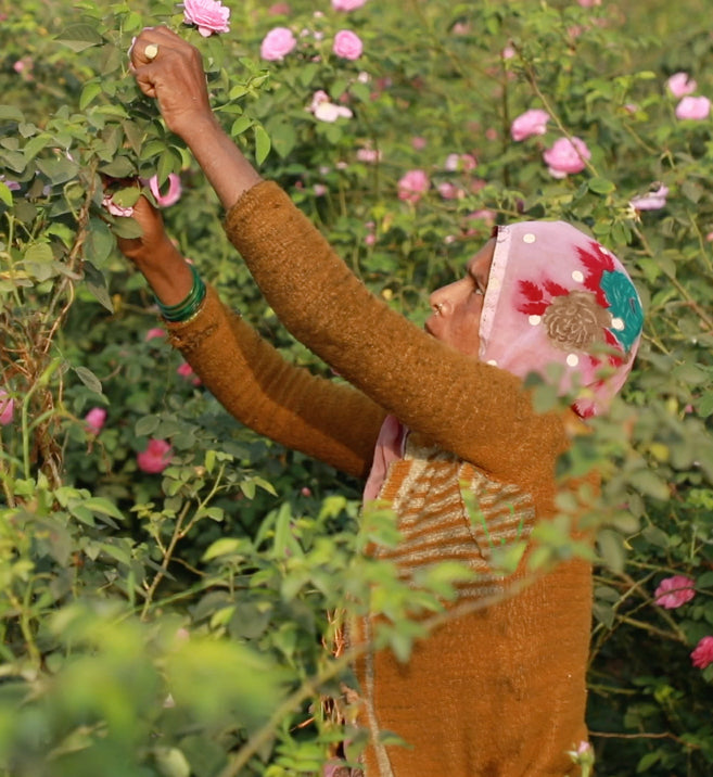 Mitti Attar | Authentic Indian Attar | Handcrafted in Kannauj – Raahi ...