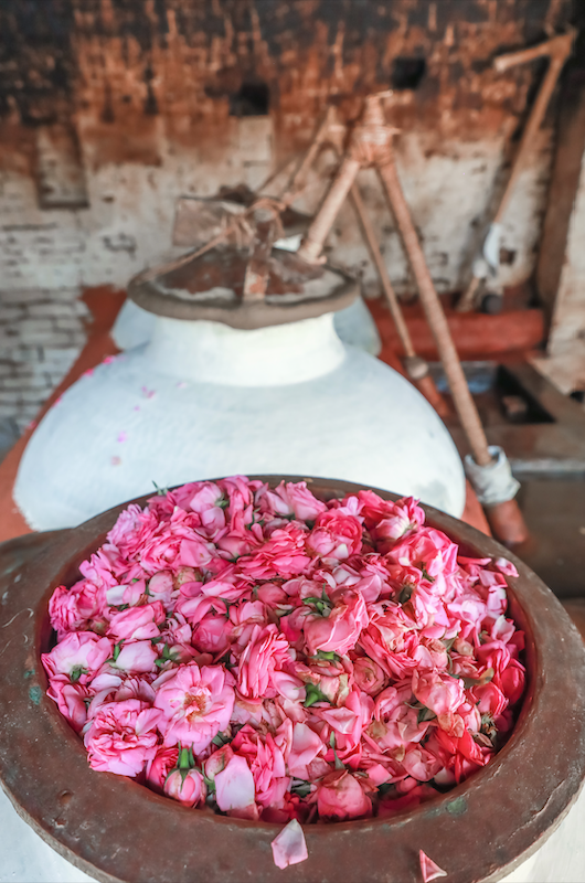 Our Story – Raahi Parfums